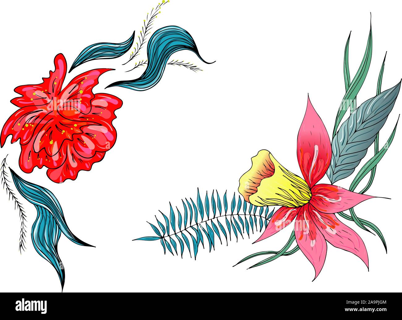Set of two summer colorful tropical flowers. Floral botanical flower ...