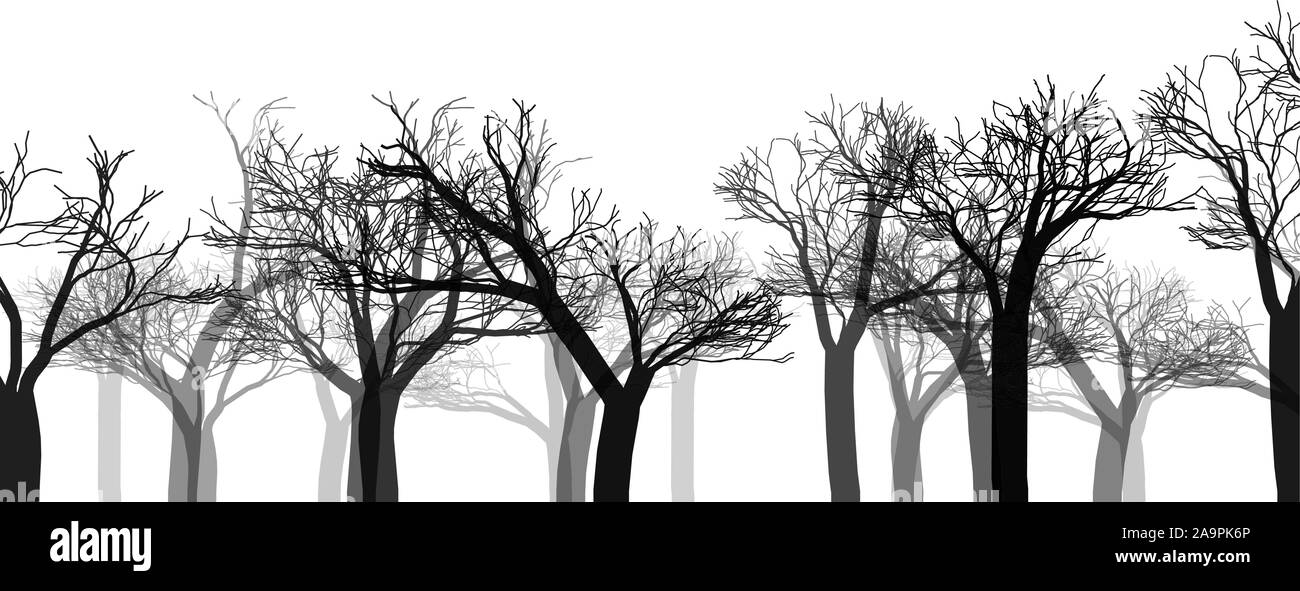Mystical trees grow. Various form, abstract linear stylization, black ...