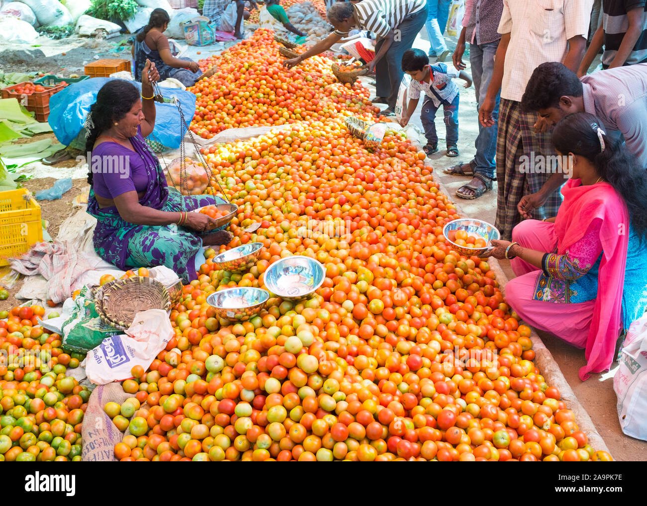 India tomatoes hi-res stock photography and images - Alamy