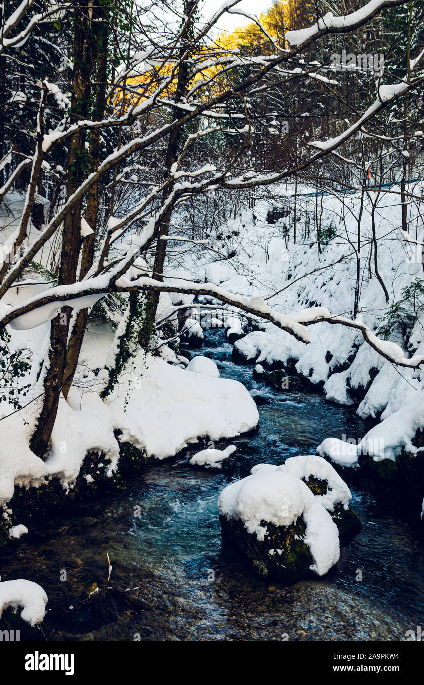 Myra Falls, Myrafalle in lower Austria 05.01.2015 during winter on a ...