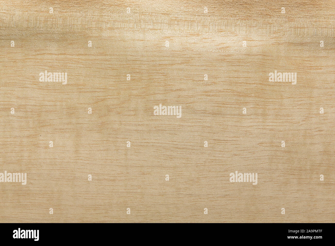 Unique fresh beige veneer background. High quality texture Stock Photo ...