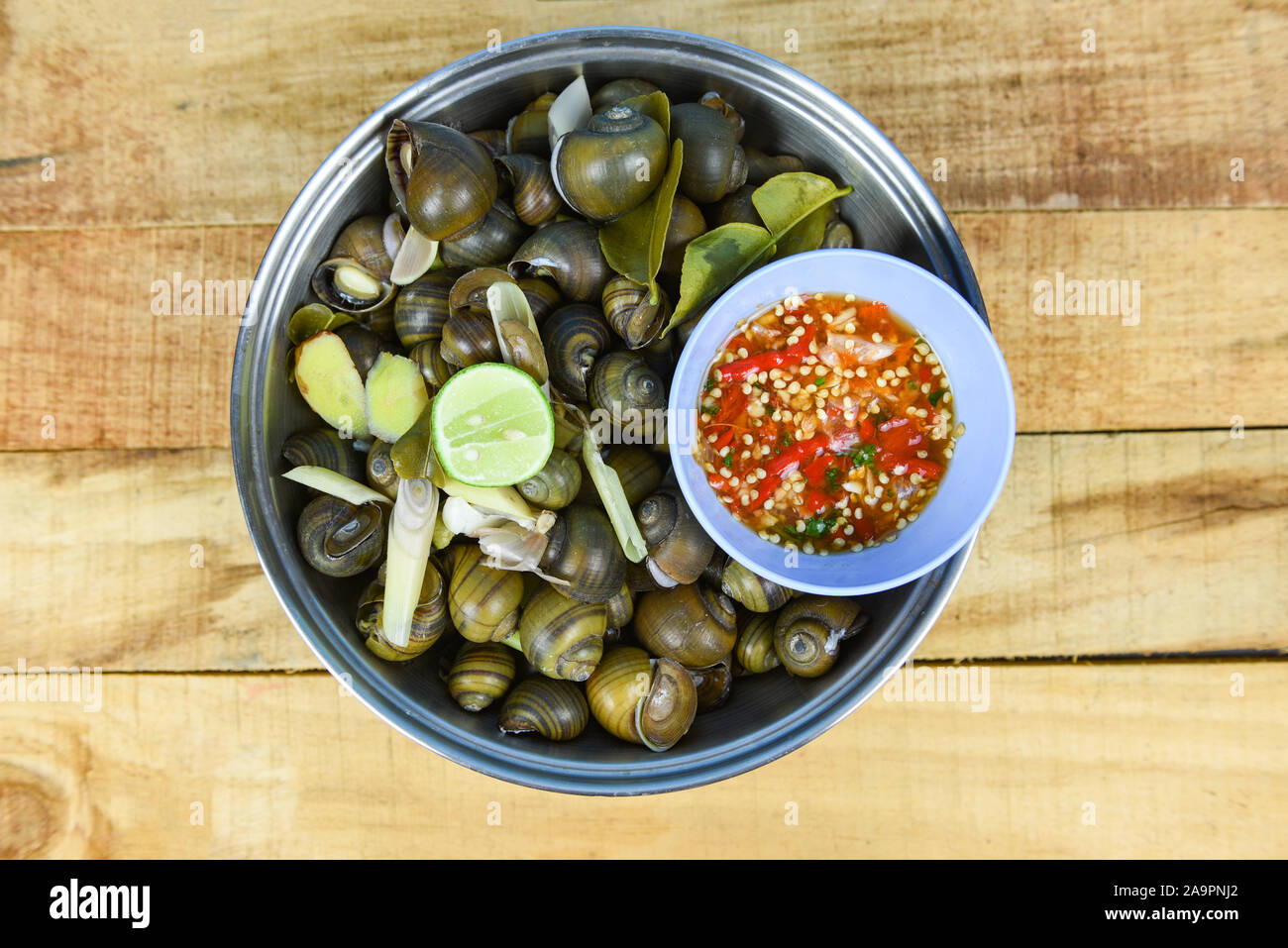 Golden snail in water hi-res stock photography and images - Alamy