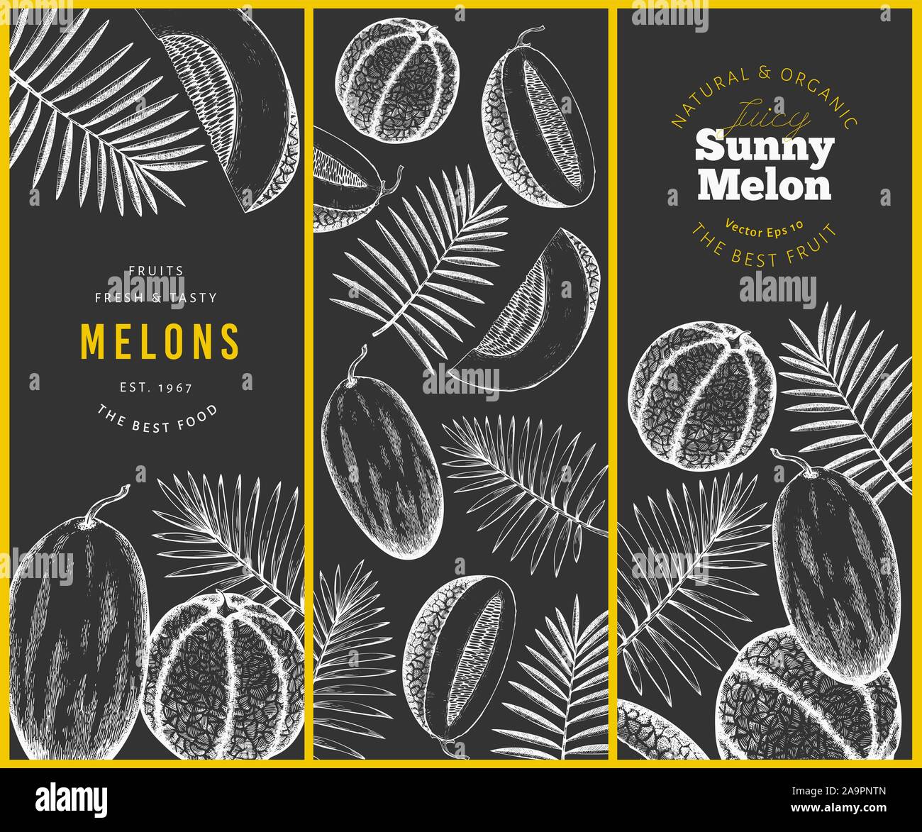 Melons and watermelons with tropical leaves designs set. Hand drawn ...