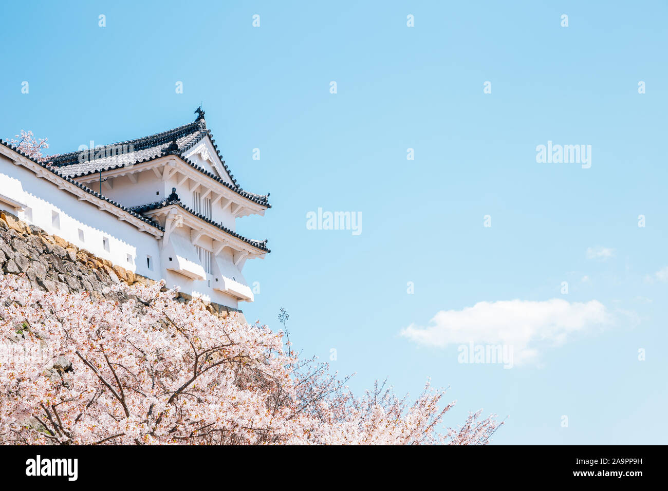 Himeji Castle with cherry blossoms at spring in Japan Stock Photo - Alamy