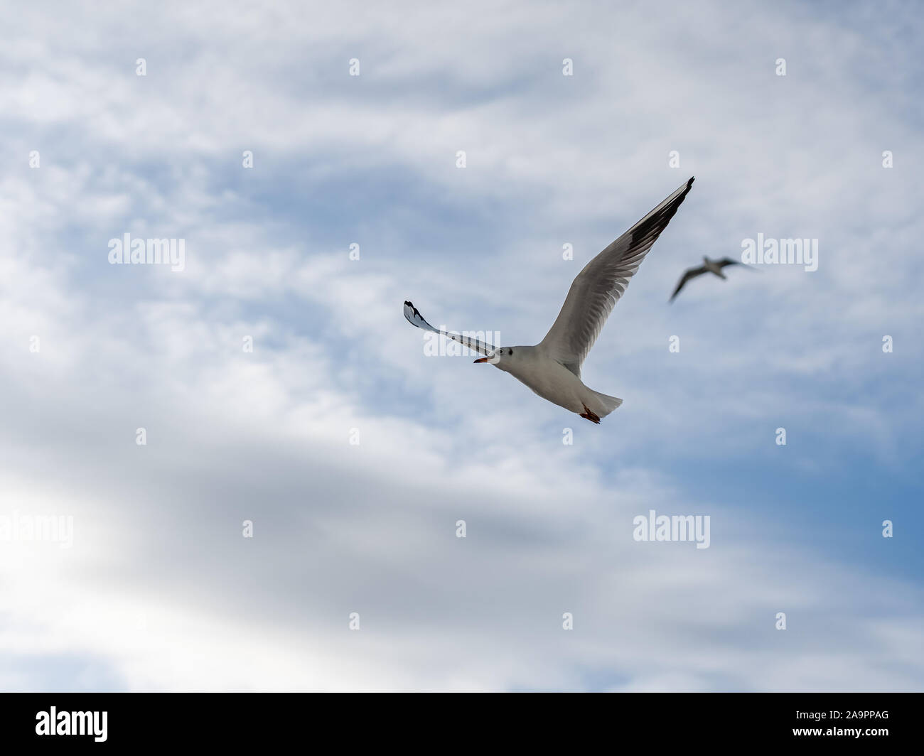 Photographed in flight hi-res stock photography and images - Alamy