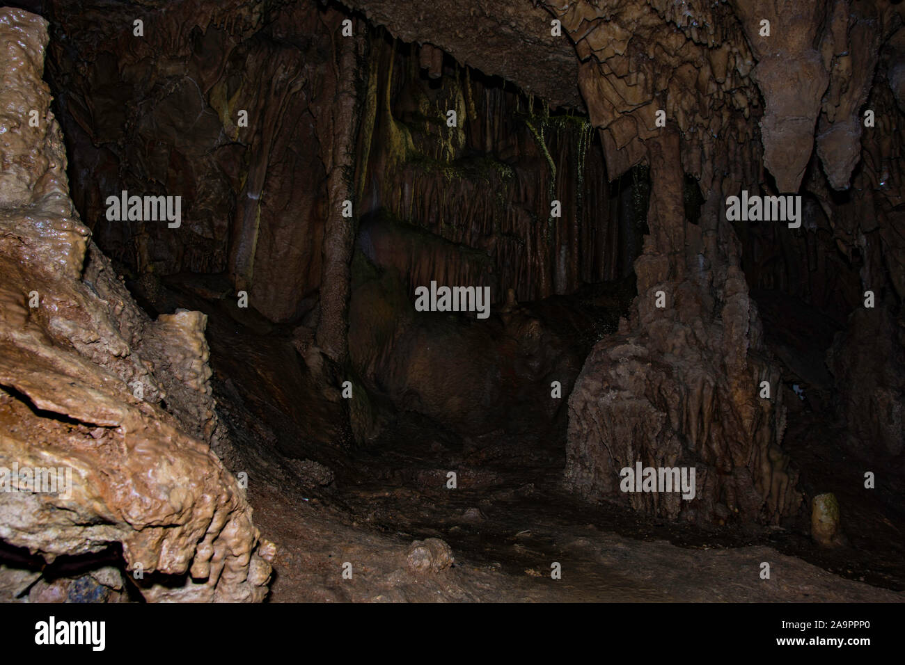Resavska cave, it is 80 million years old. Formed by the sinking river ...