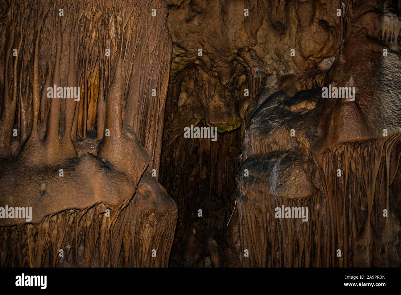 Resavska cave, it is 80 million years old. Formed by the sinking river ...