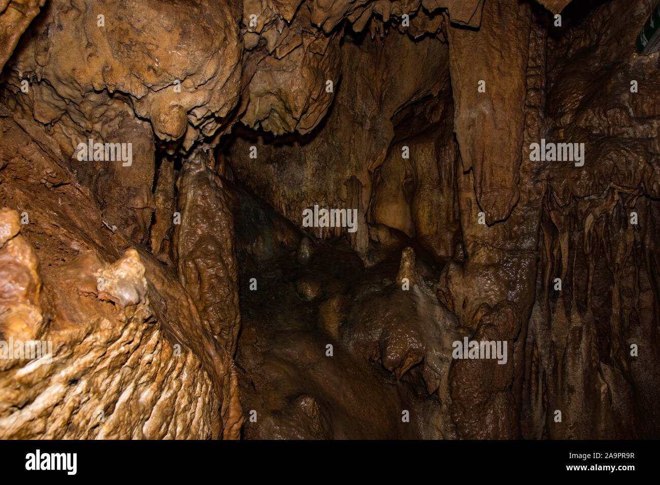 Resavska cave, it is 80 million years old. Formed by the sinking river ...