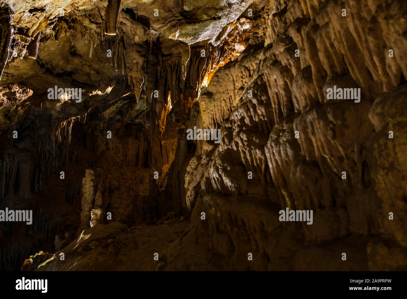 Resavska cave, it is 80 million years old. Formed by the sinking river ...