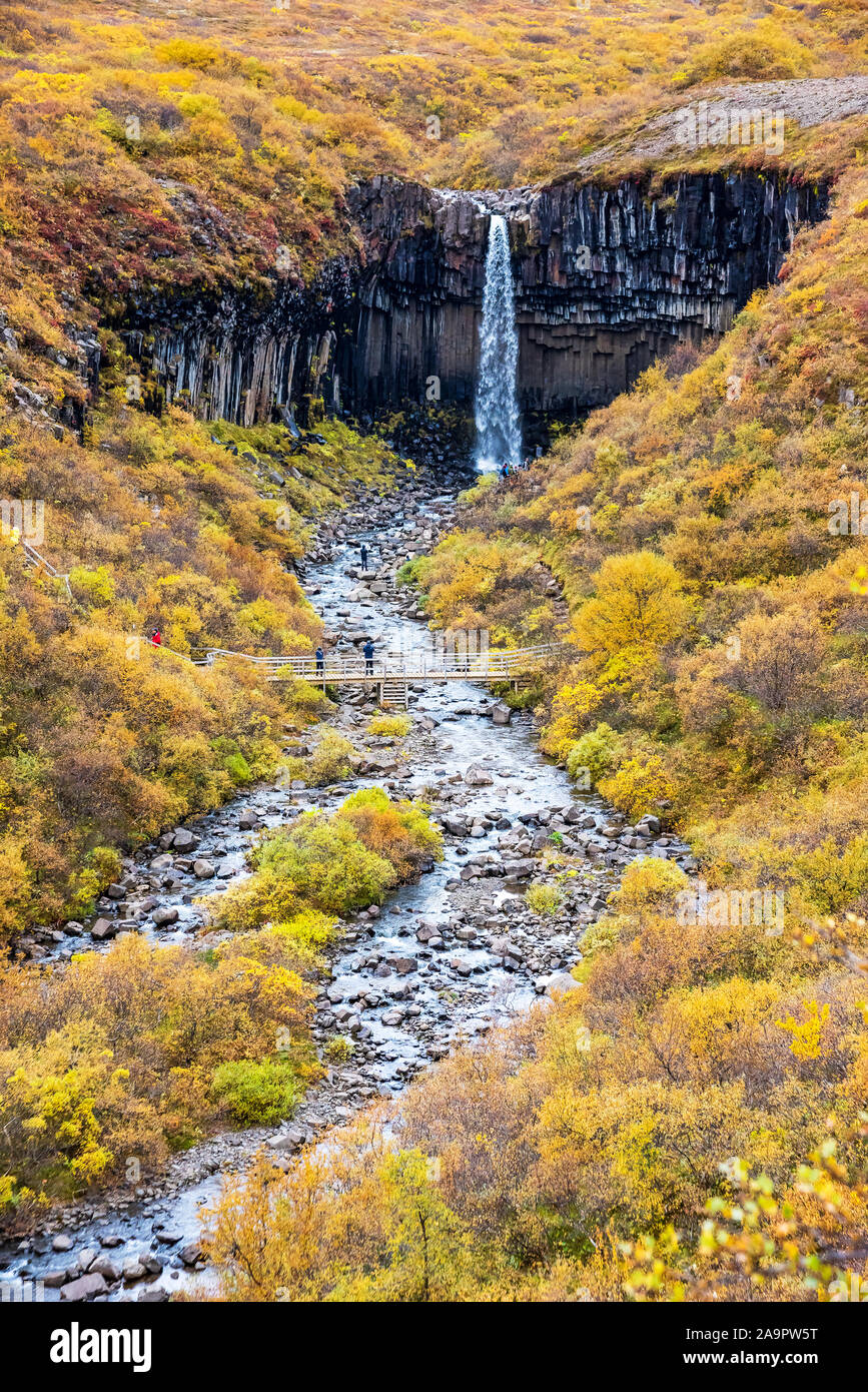 Svartifoss, famous Black waterfall, popular tourist spot in Iceland ...