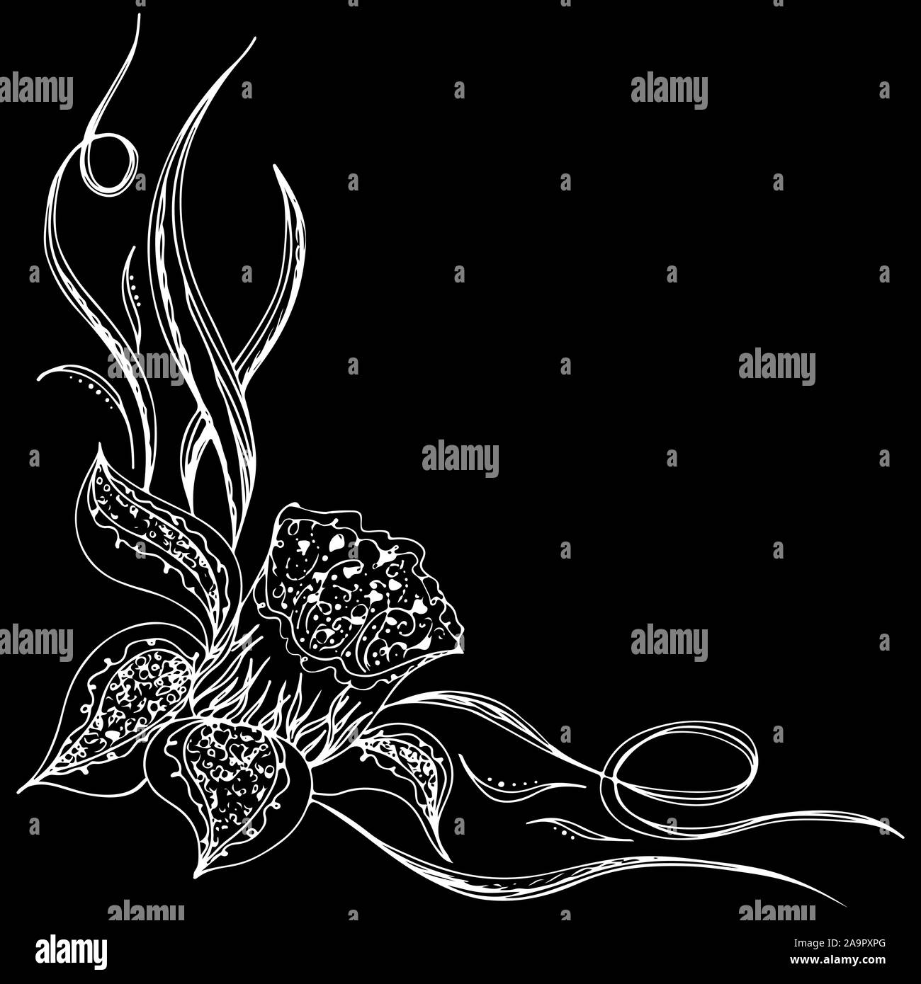 Engraved hand drawn abstract orchid. Retro flowers hand outline orchid ...