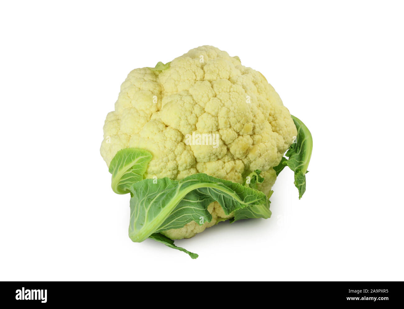 Ripe cauliflower with green leaves isolated on white background Stock ...