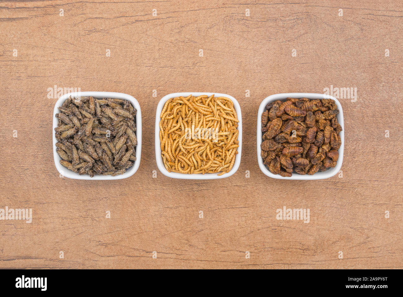 Commercially produced edible insects hi-res stock photography and ...