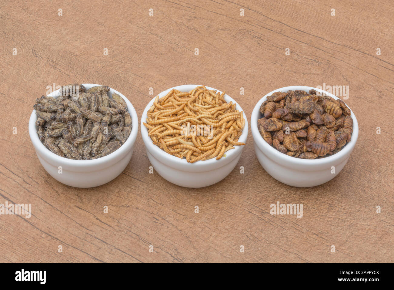 Commercially produced edible insects hi-res stock photography and ...