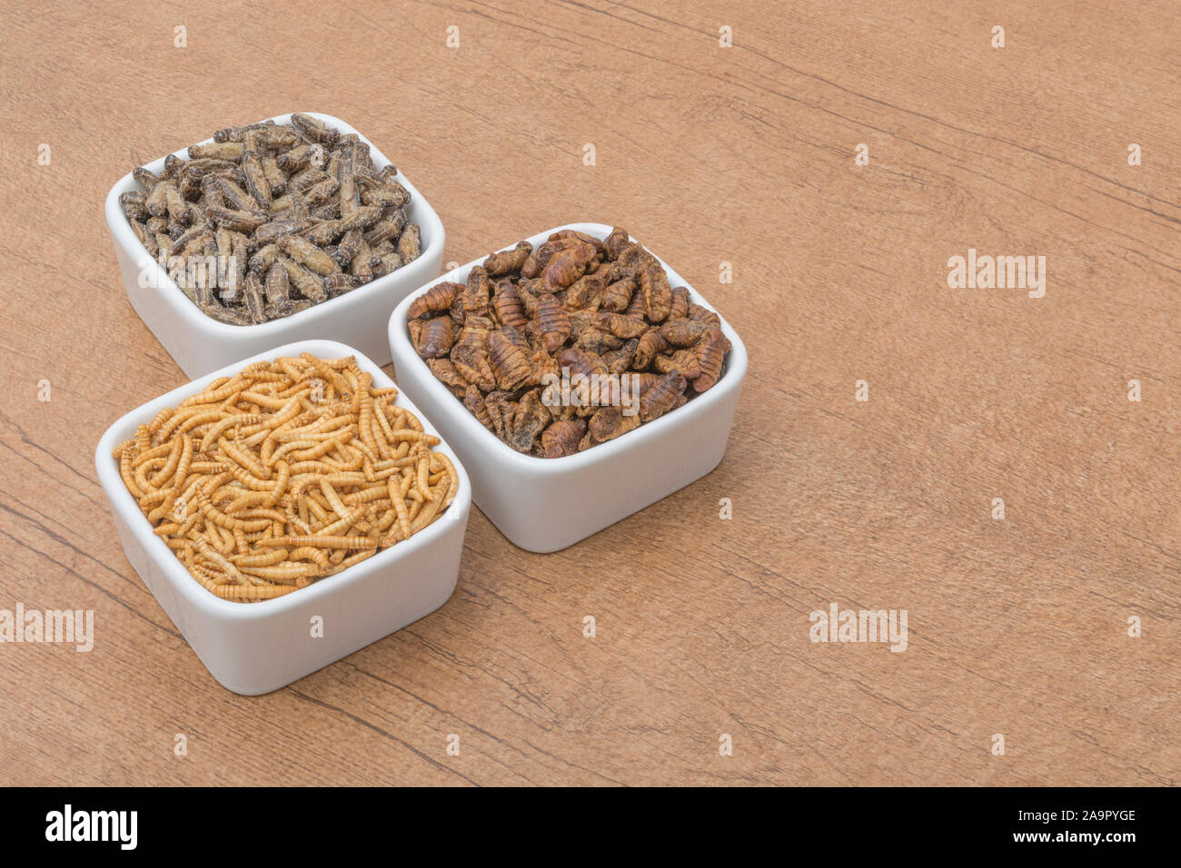 Commercially produced edible insects hi-res stock photography and ...