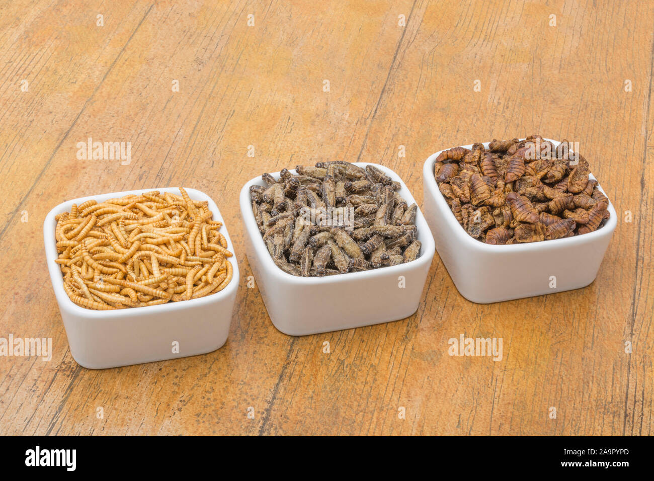 Commercially produced edible insects hi-res stock photography and ...