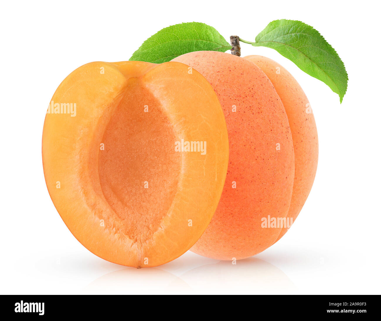 Isolated apricots. One whole apricot fruit and a half isolated on white ...