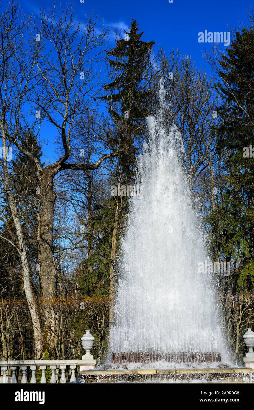 Fountain with shining light in spring with branches Stock Photo - Alamy