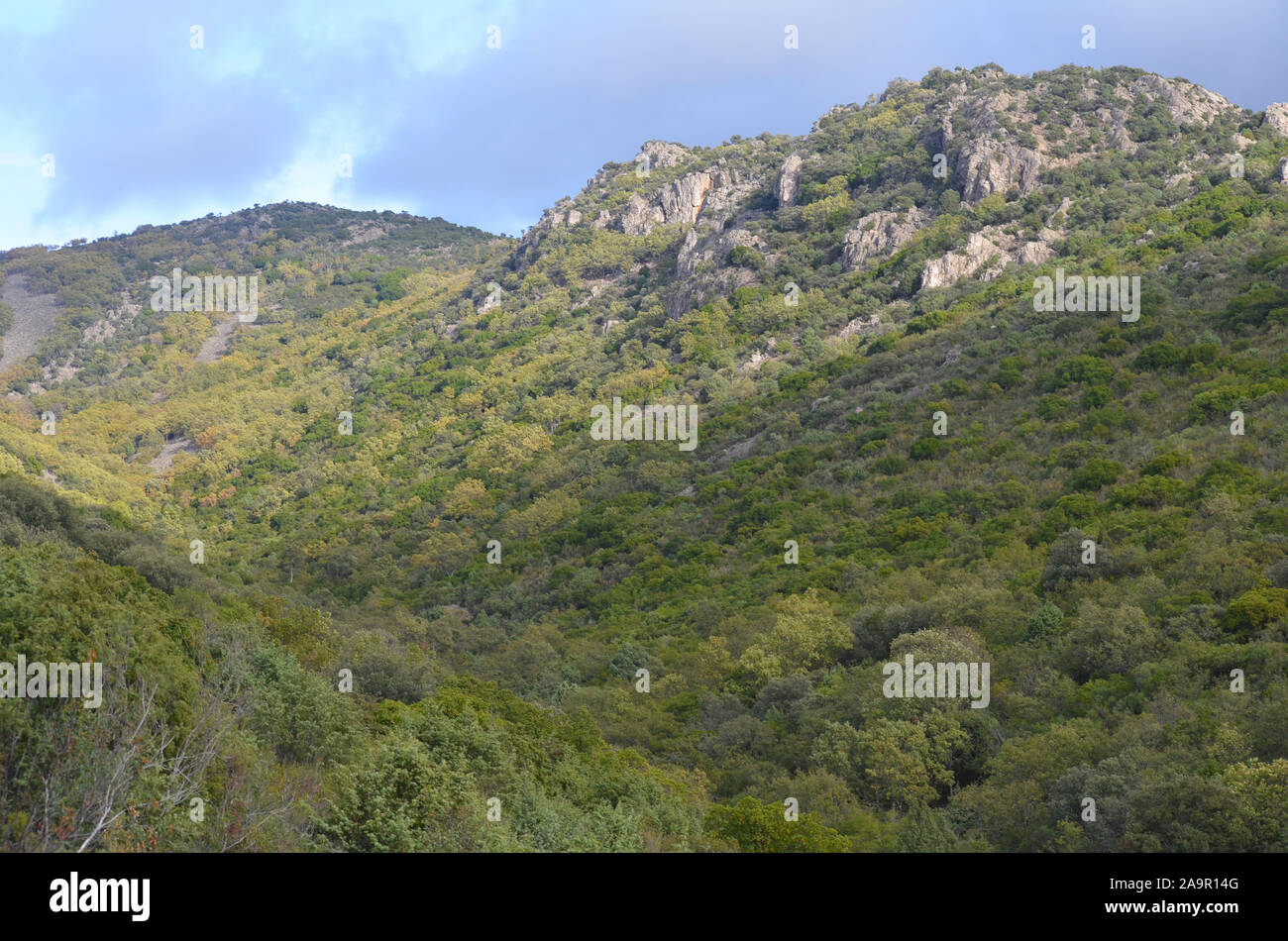 Scrubland habitats hi-res stock photography and images - Alamy