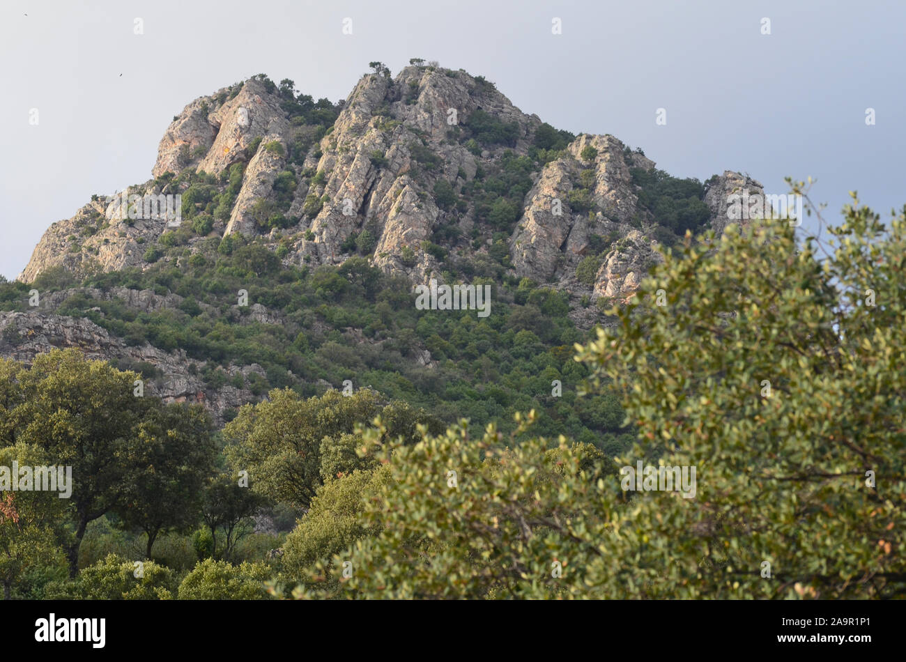 Scrubland habitats hi-res stock photography and images - Alamy