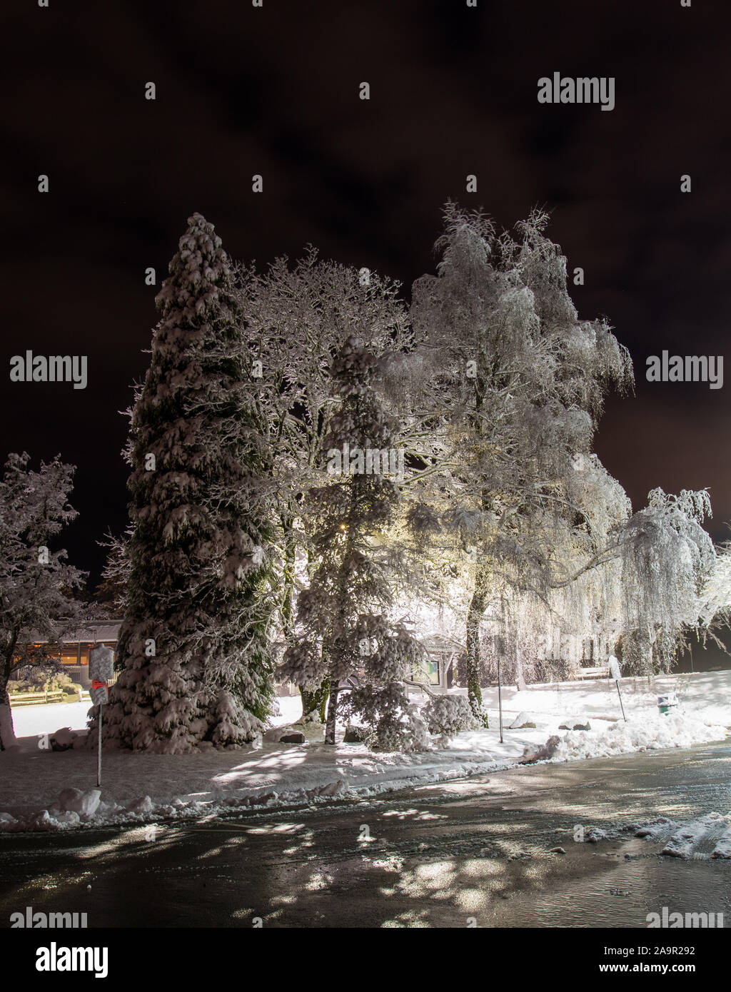 Winter snow park alley night lights landscape. Winter snow night lights ...
