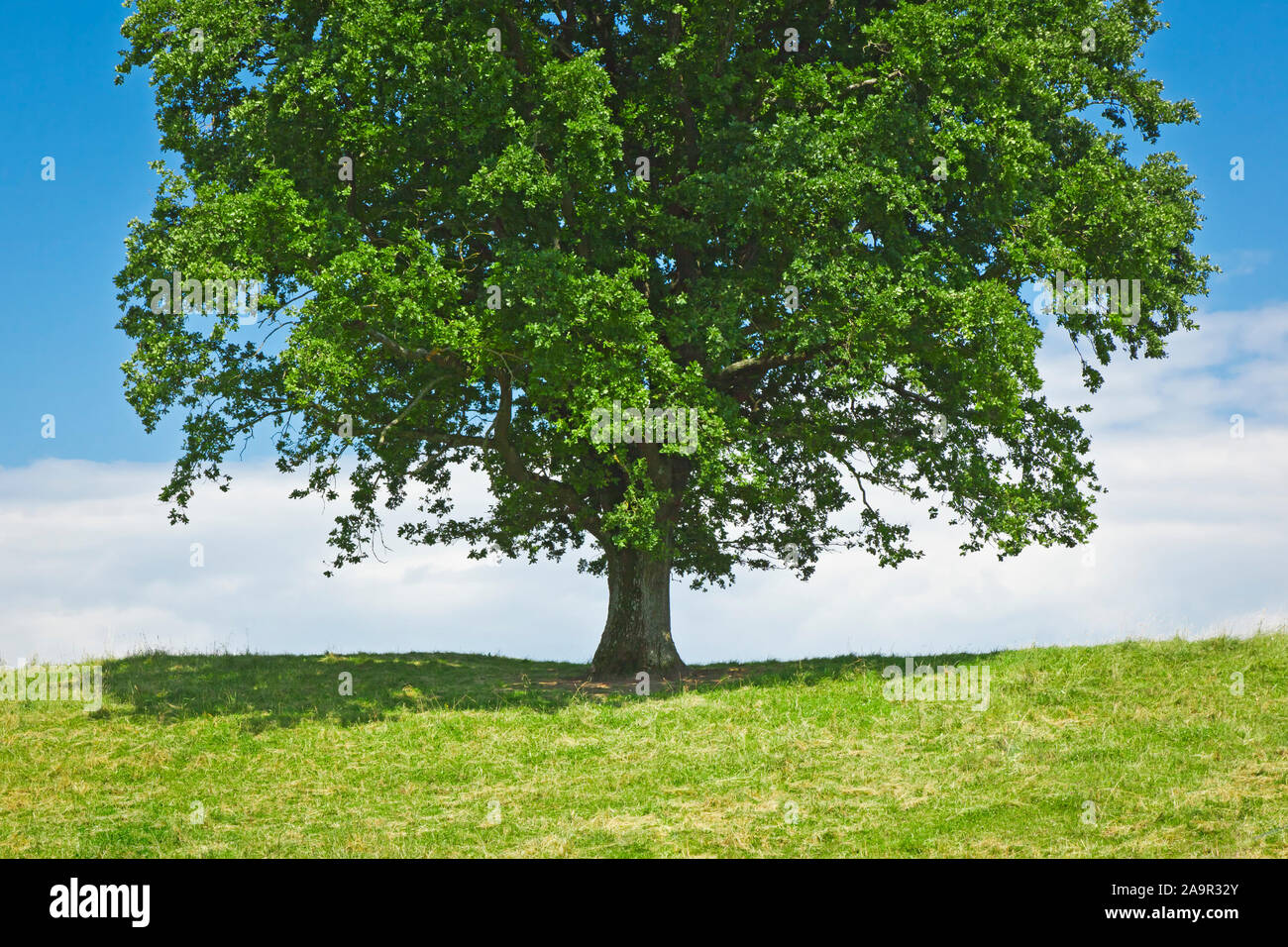 Nice countryside image hi-res stock photography and images - Alamy