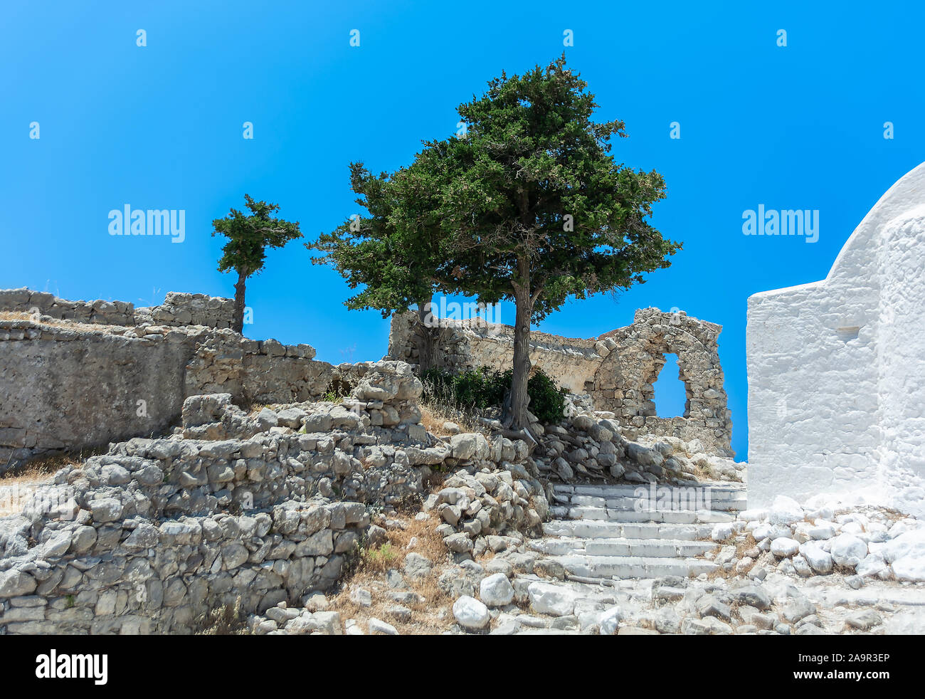 Tree in ruins of Monolithos castle. Rhodes island. Dodecanese Greece ...