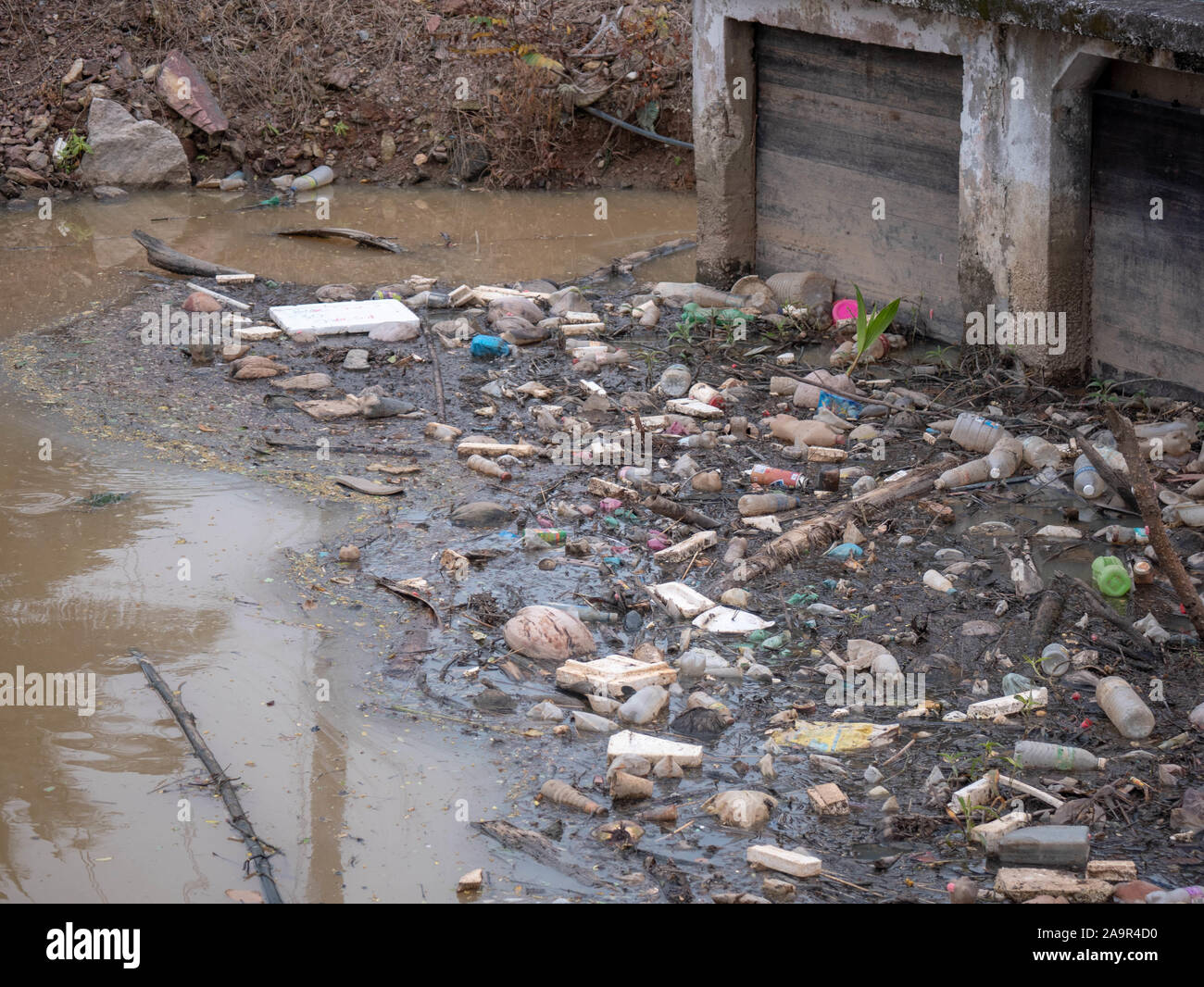 Plastic bottle waste floating river Stock Photo - Alamy