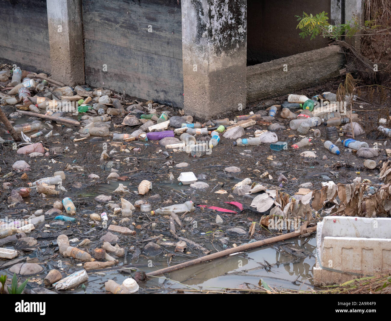 Plastic bottle waste floating river Stock Photo - Alamy