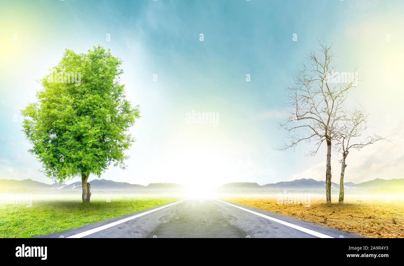 Renewable energy concept Earth Day or environment protection Hands ...