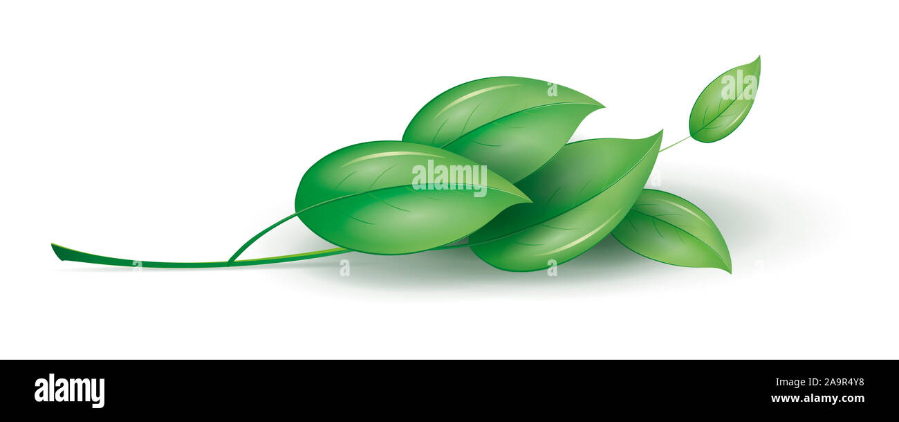 Little nice Cut Out Stock Images & Pictures - Alamy