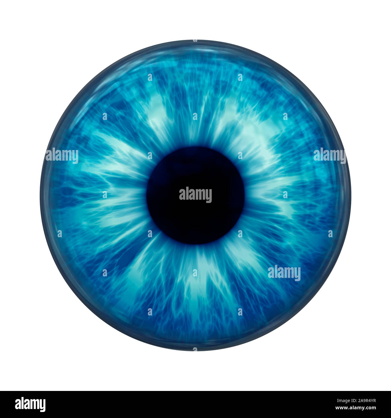 Glassy eyes hi-res stock photography and images - Alamy