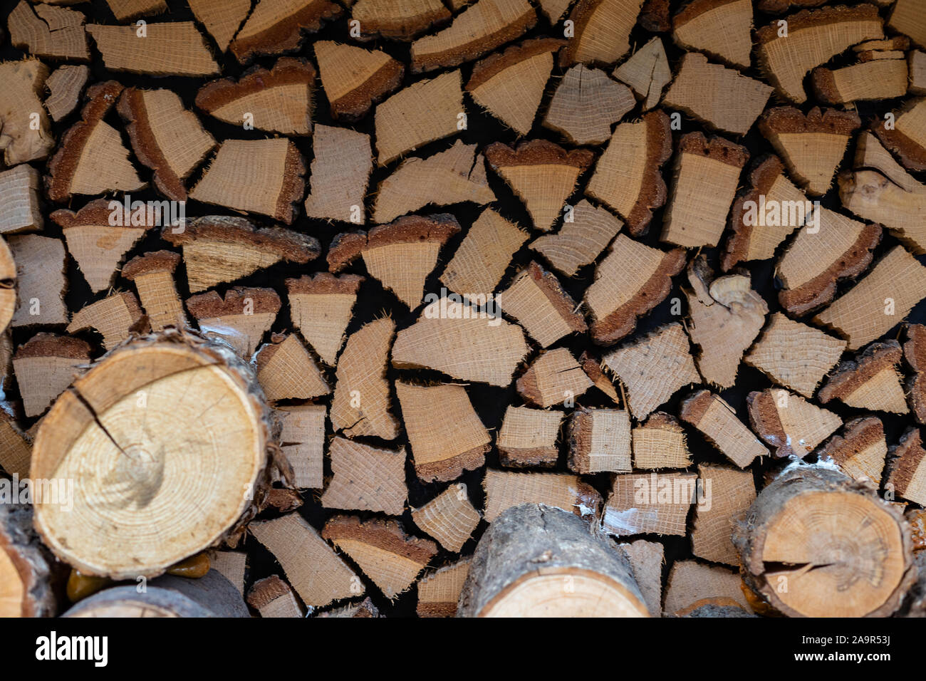 Pile of tree stumps hi-res stock photography and images - Alamy