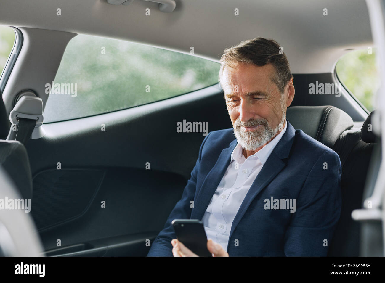 Checking cell hi-res stock photography and images - Alamy