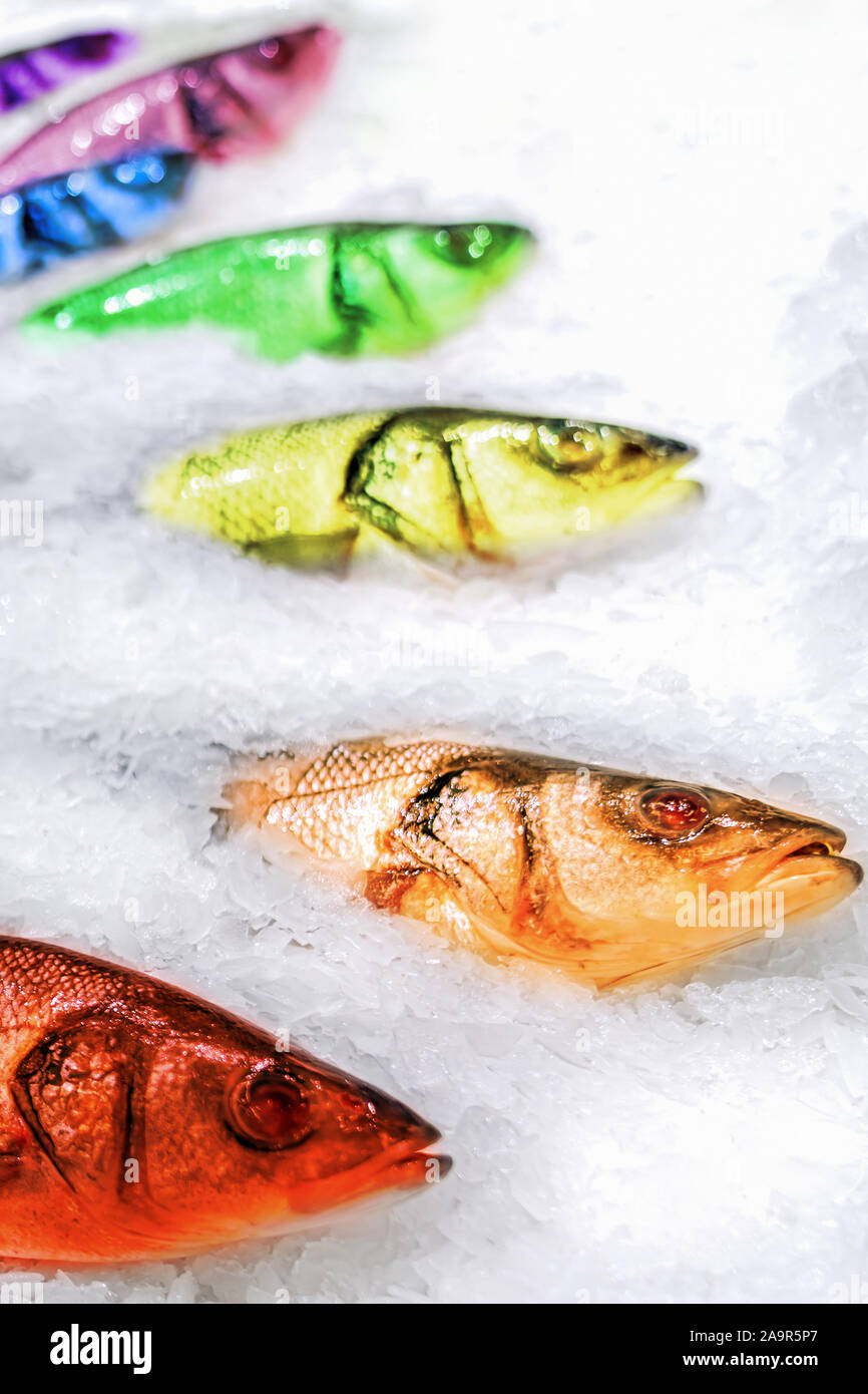 rainbow of fresh fish in the supermarket on ice. Beautifully laid out ...