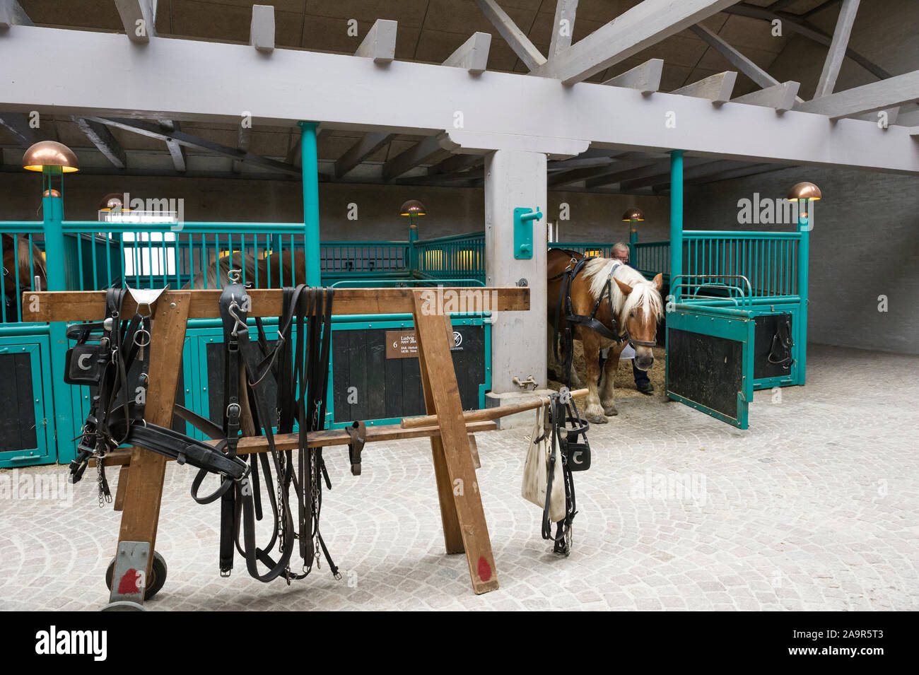 Horses carlsberg brewery hi-res stock photography and images - Alamy