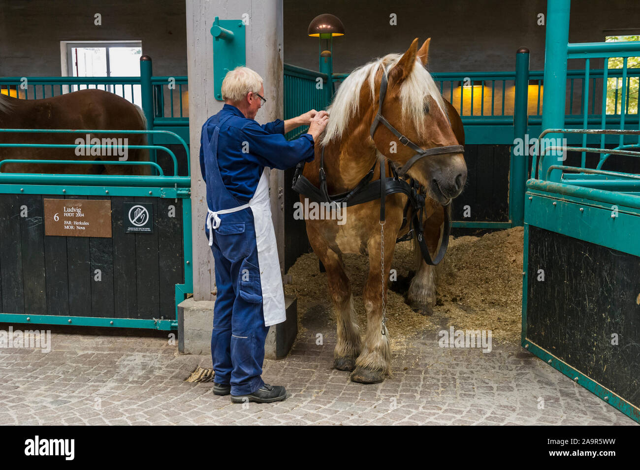 Stable at the Carlsberg Brewery, Copenhagen, Denmark Stock Photo - Alamy