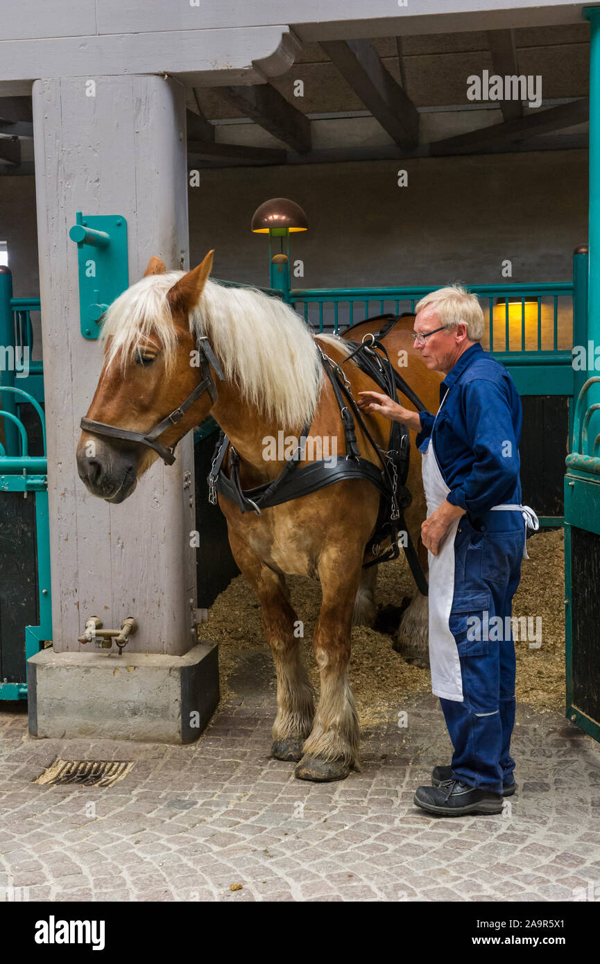 Stable at the Carlsberg Brewery, Copenhagen, Denmark Stock Photo - Alamy