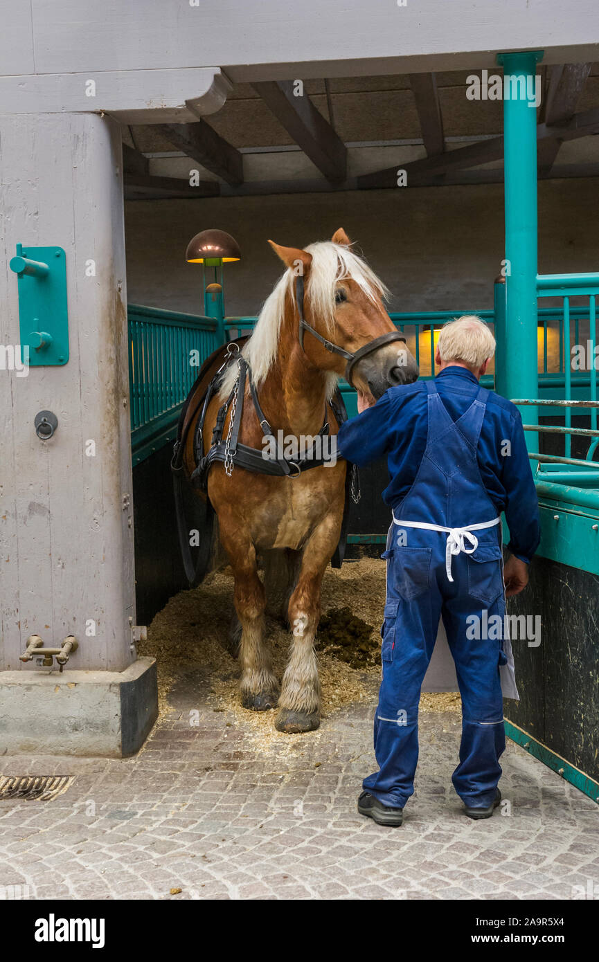 Stable at the Carlsberg Brewery, Copenhagen, Denmark Stock Photo - Alamy