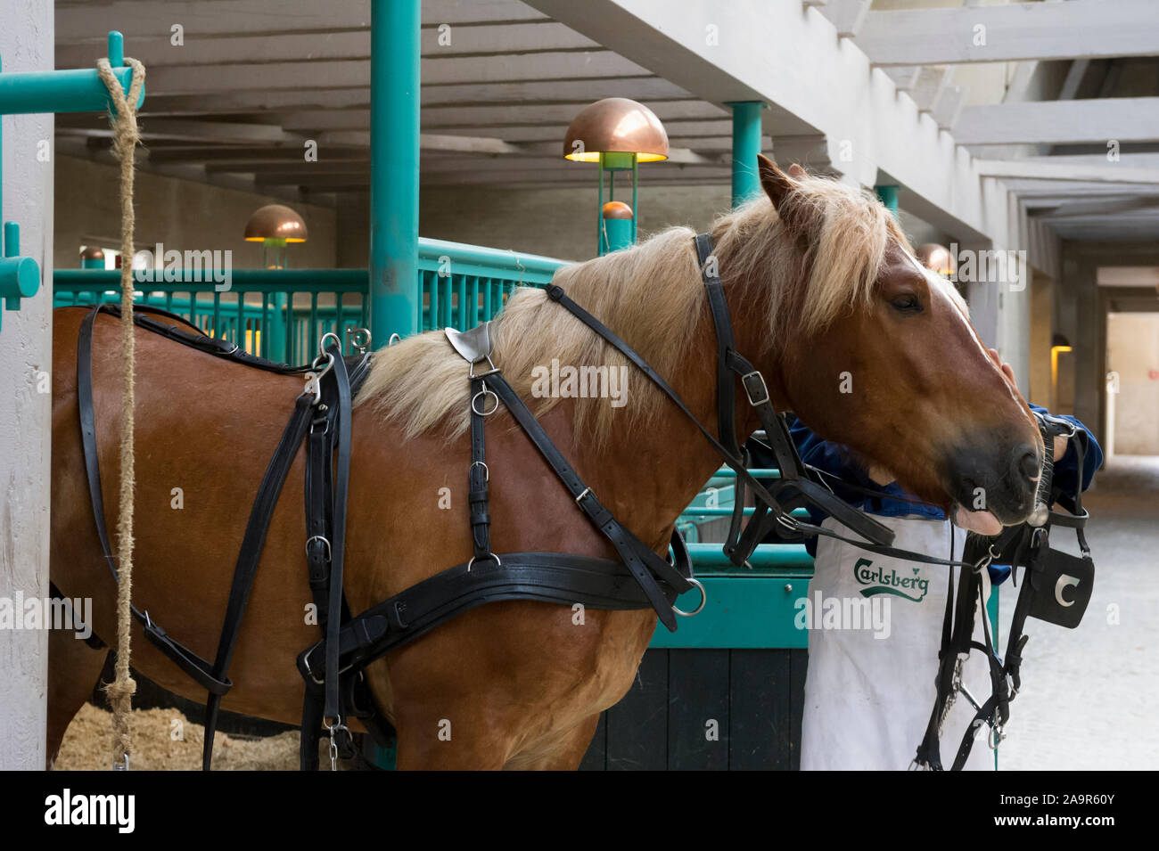 Stable at the Carlsberg Brewery, Copenhagen, Denmark Stock Photo - Alamy