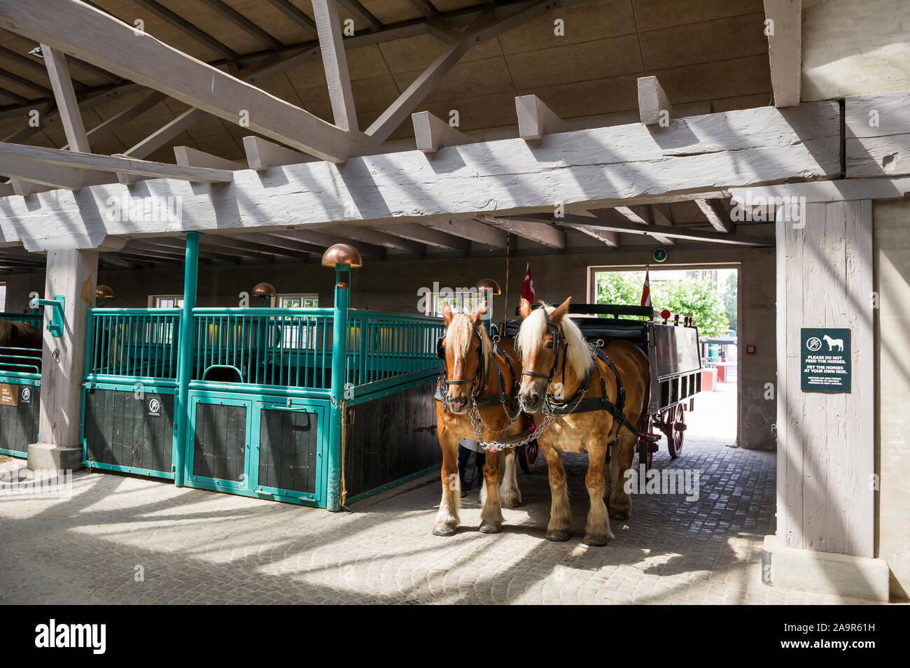 Horses carlsberg brewery hi-res stock photography and images - Alamy