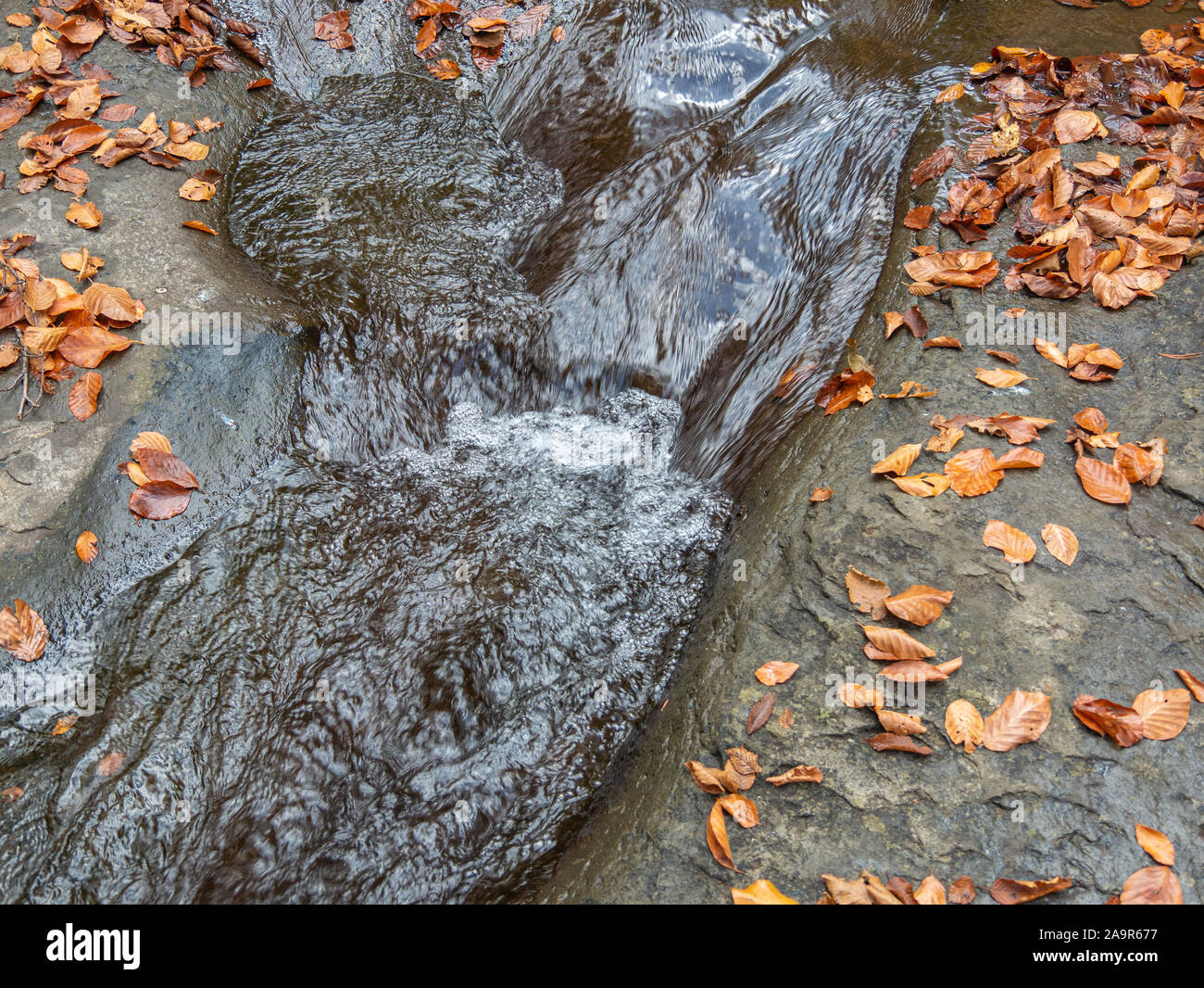 Clear water flows into a stone trough. Autumn leaves have fallen from ...