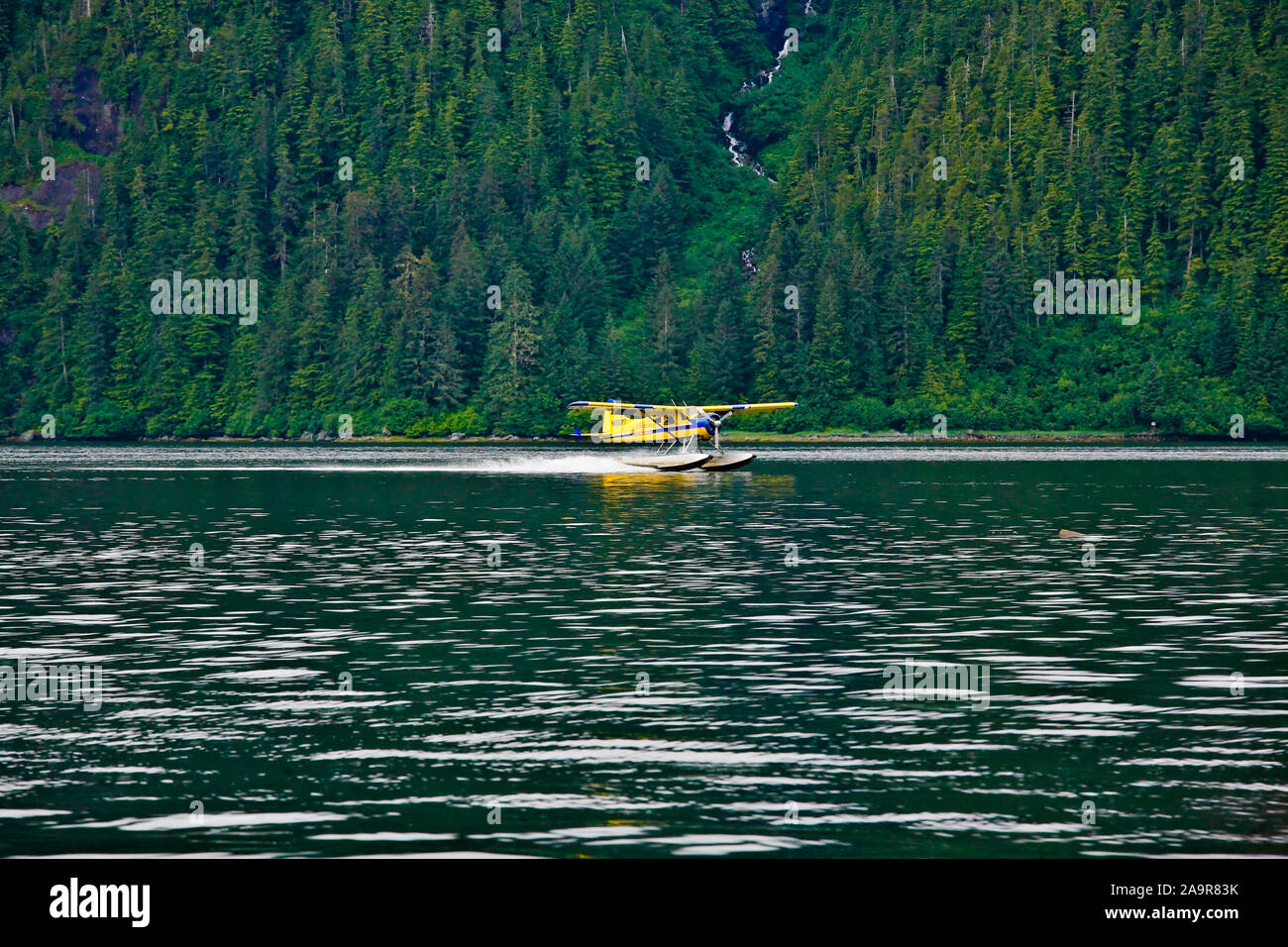 Bright yellow sea plane lands on Lisianski Inlet at Pelican Harbor, AK ...