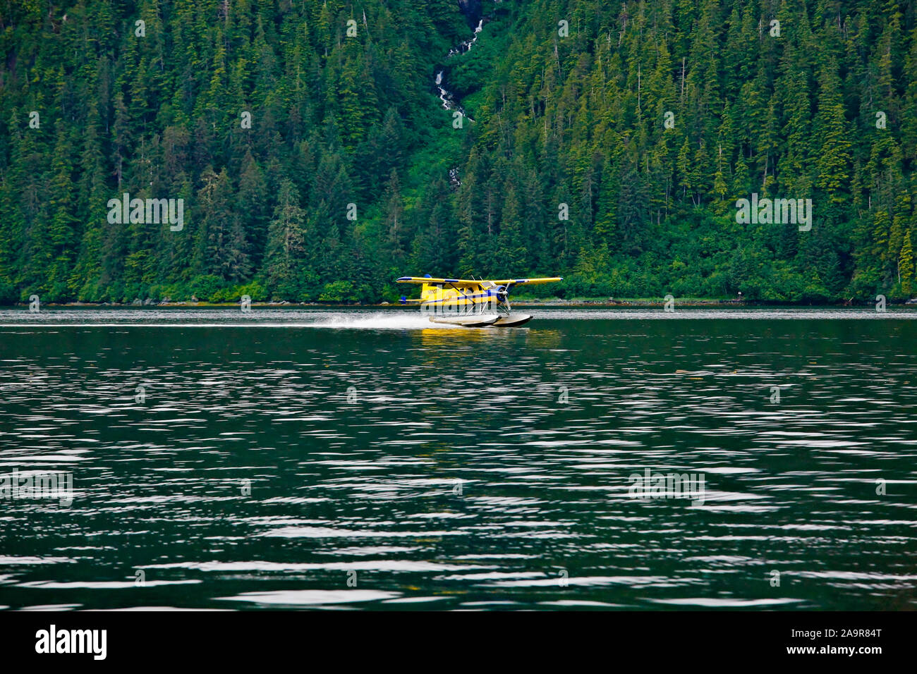 Bright yellow sea plane lands on Lisianski Inlet at Pelican Harbor, AK ...
