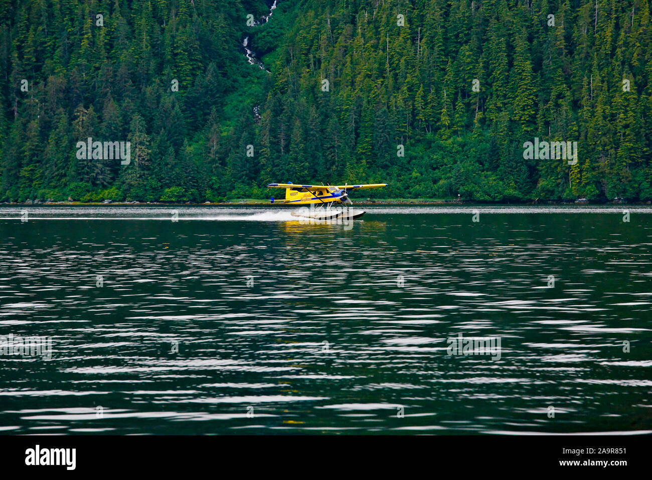 Bright yellow sea plane lands on Lisianski Inlet at Pelican Harbor, AK ...