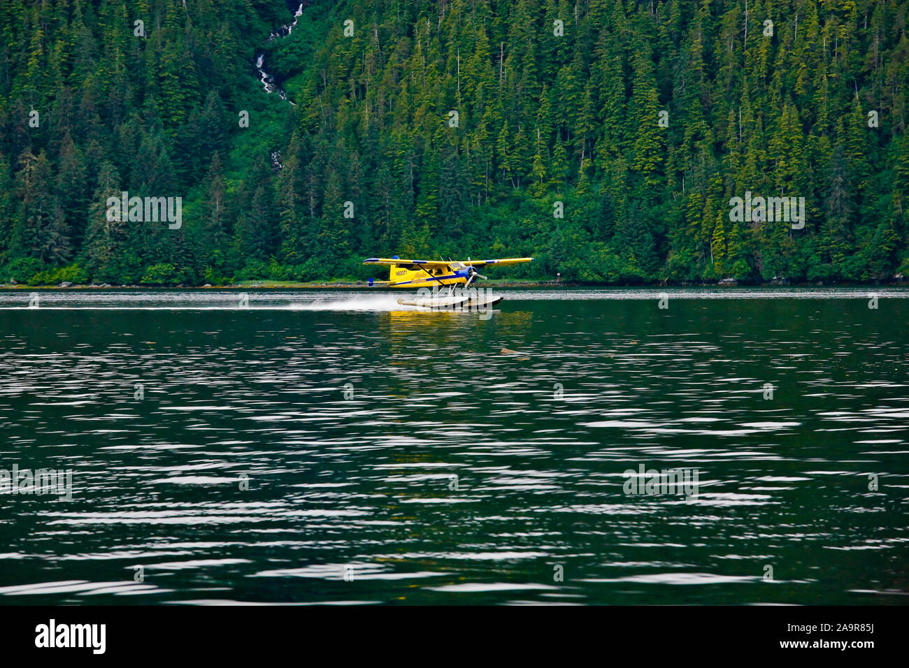 Bright yellow sea plane lands on Lisianski Inlet at Pelican Harbor, AK ...