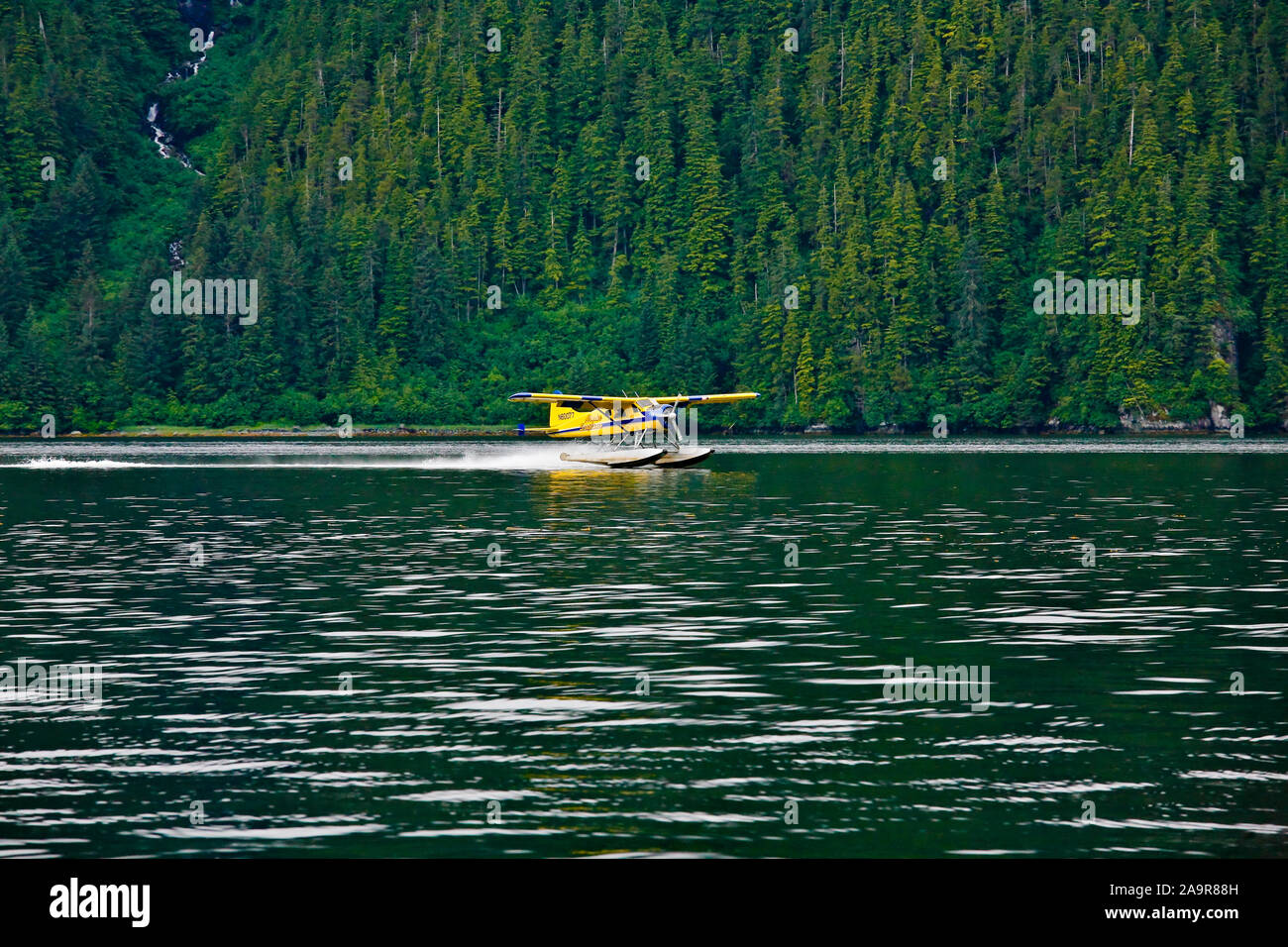 Bright yellow sea plane lands on Lisianski Inlet at Pelican Harbor, AK ...