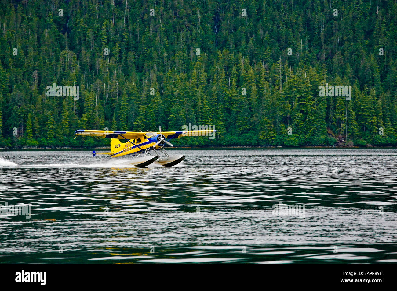 Bright yellow sea plane lands on Lisianski Inlet at Pelican Harbor, AK ...