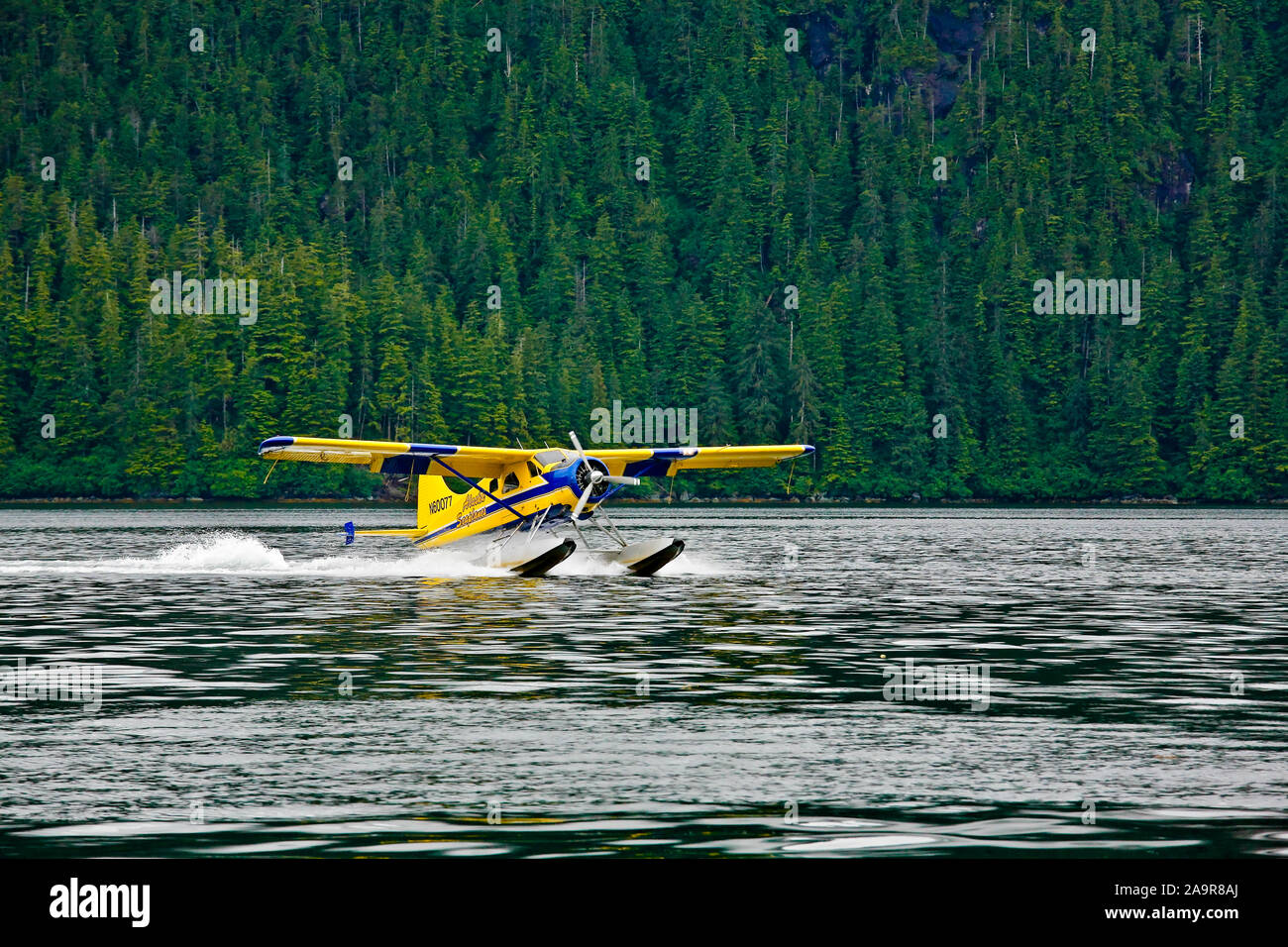 Bright yellow sea plane lands on Lisianski Inlet at Pelican Harbor, AK ...