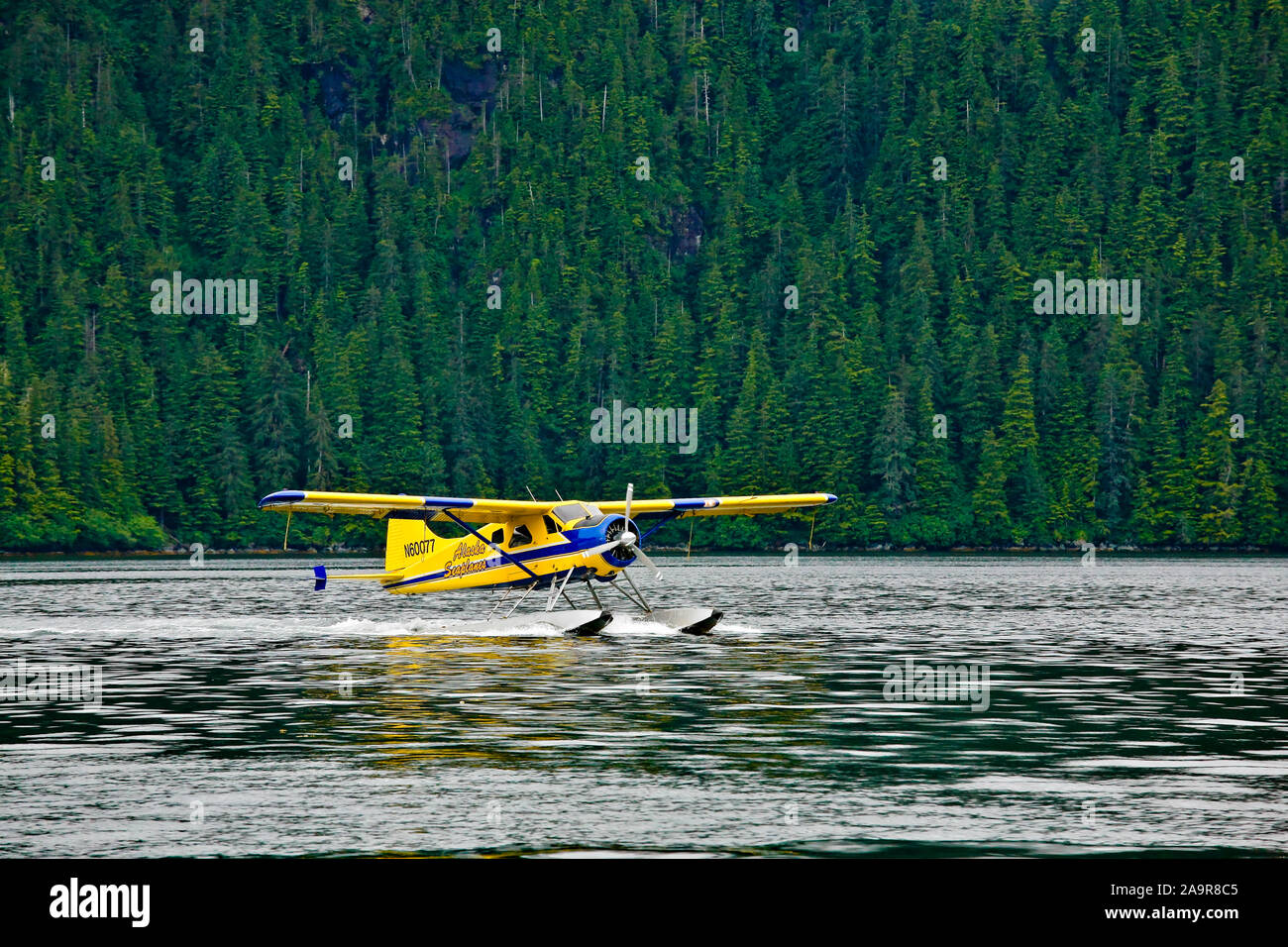 Bright yellow sea plane lands on Lisianski Inlet at Pelican Harbor, AK ...